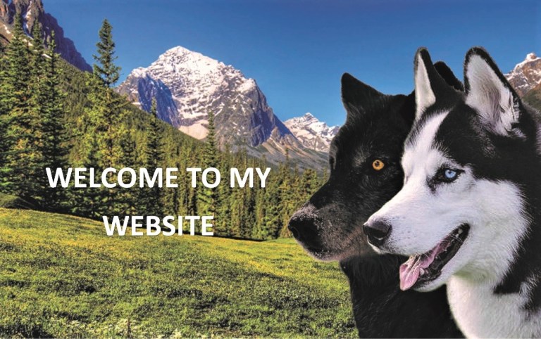 Elizabeth Jade – The Aspie Author